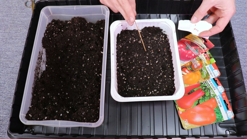 Найкращий час для посіву насіння томатів на розсаду: городникам на замітку